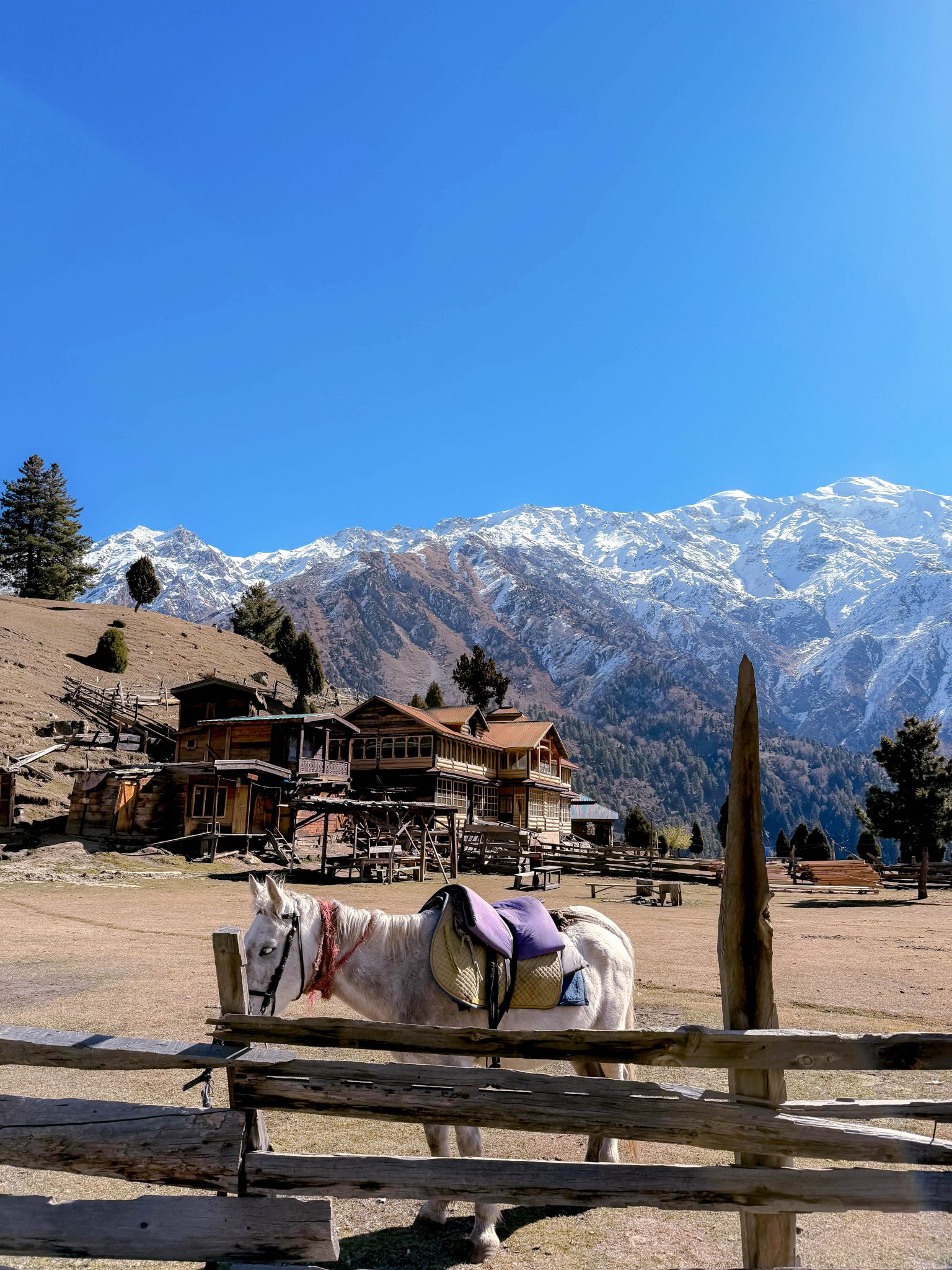 TOUR BỤI MÙA XUÂN PAKISTAN | VẠN DẶM XA TRÊN CON ĐƯỜNG TƠ LỤA – MÙA HOA ...